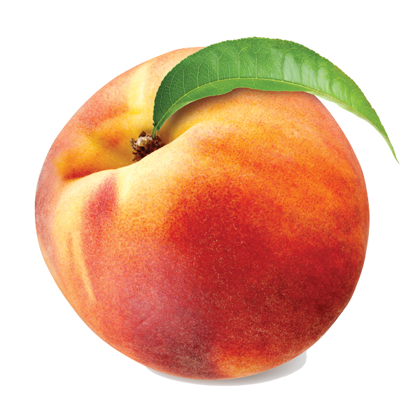 Digital Dentures Head to Atlanta | December 2018 | Inside Dental Technology