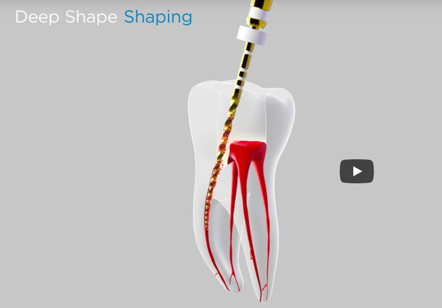 Home | AEGIS Dental Network